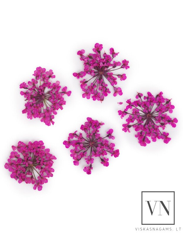 Džiovintos gėlytės